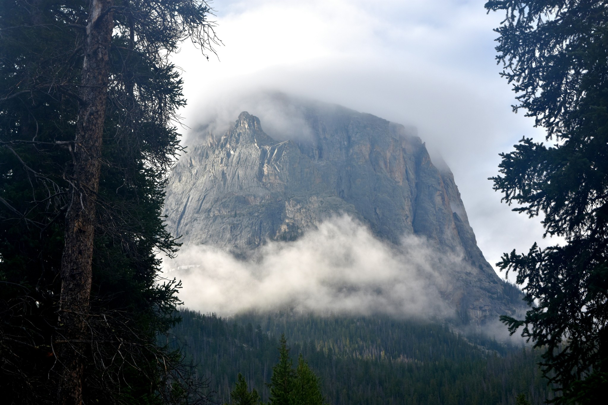 The Biggest Fool in Eldíra (A Short Story) – Michael T. Hare